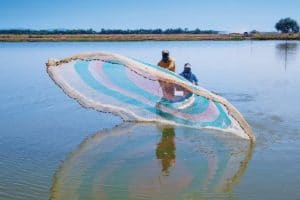 atarraya | S.O.N.G.A.